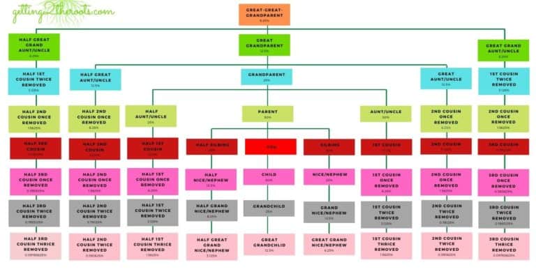 Cousin | What Is The Meaning Of First Cousin Once Removed