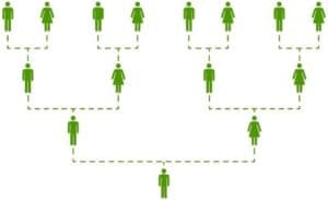 Ancestors’ Research | Free Beginner’s Guide