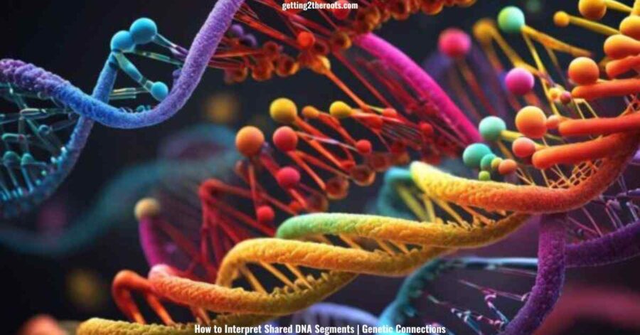 How to Interpret Shared DNA Segments | Genetic Connections